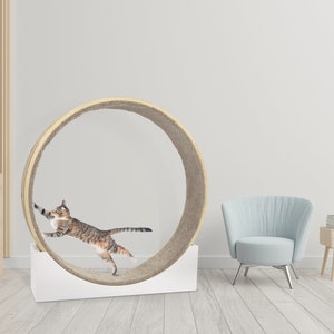 Cat Wheel Cat Toy Exercise Wheel Cute Cat Furniture Circular - Etsy