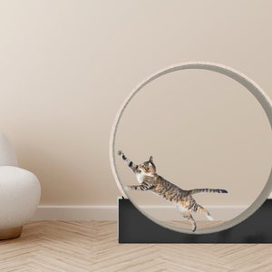 Cat Wheel Cat Toy Exercise Wheel Cute Cat Furniture Circular - Etsy