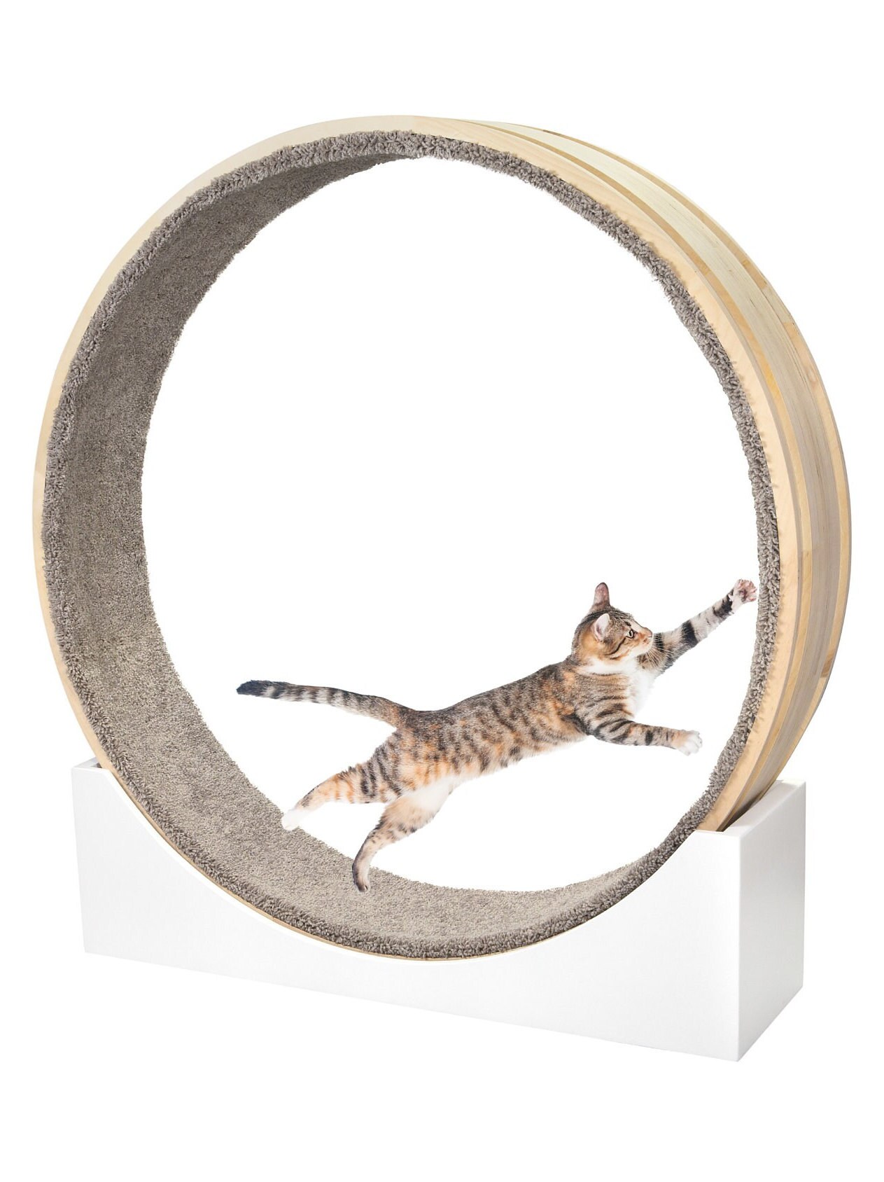 Cat Wheel Exercise Cat Toy Cat Exercise Wheel Cat Running Wheel Cute ...