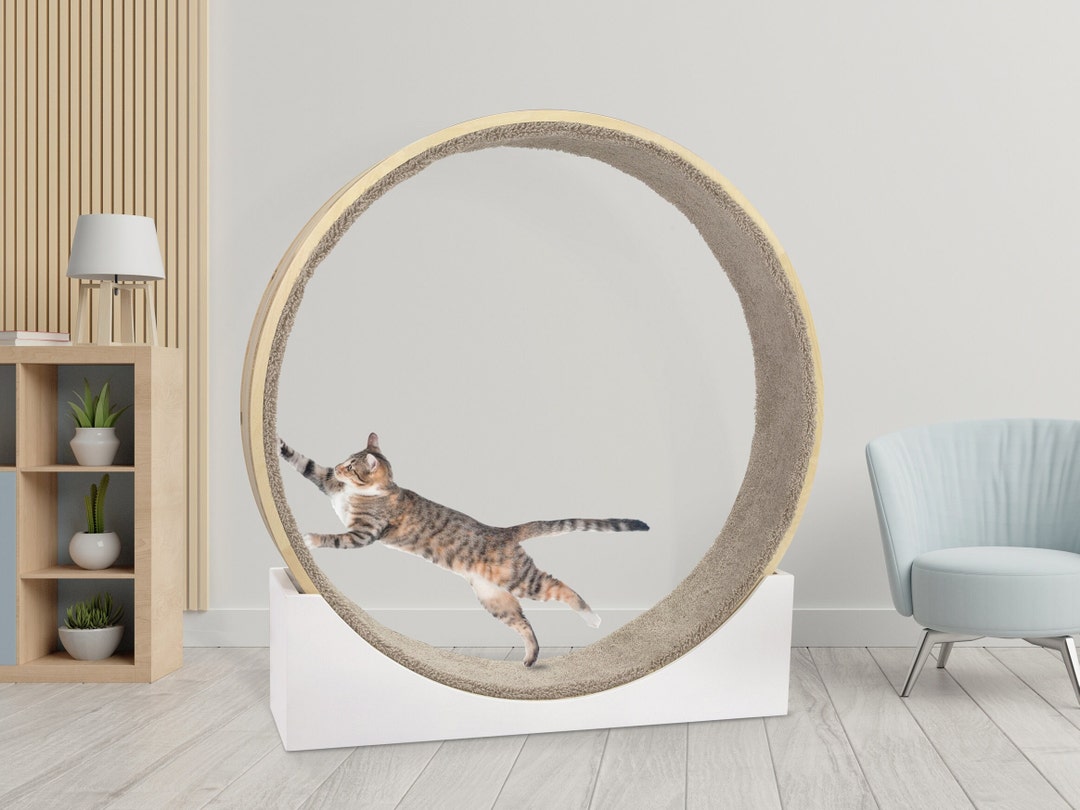 Cat Wheel Exercise Cat Toy Cat Exercise Wheel Cat Running - Etsy