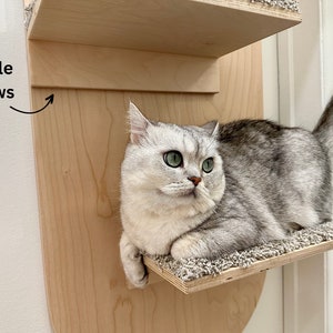 Door Cat Tree Cat Door Hanging Shelf Cat Climbing Tree Cat Bed Cat ...