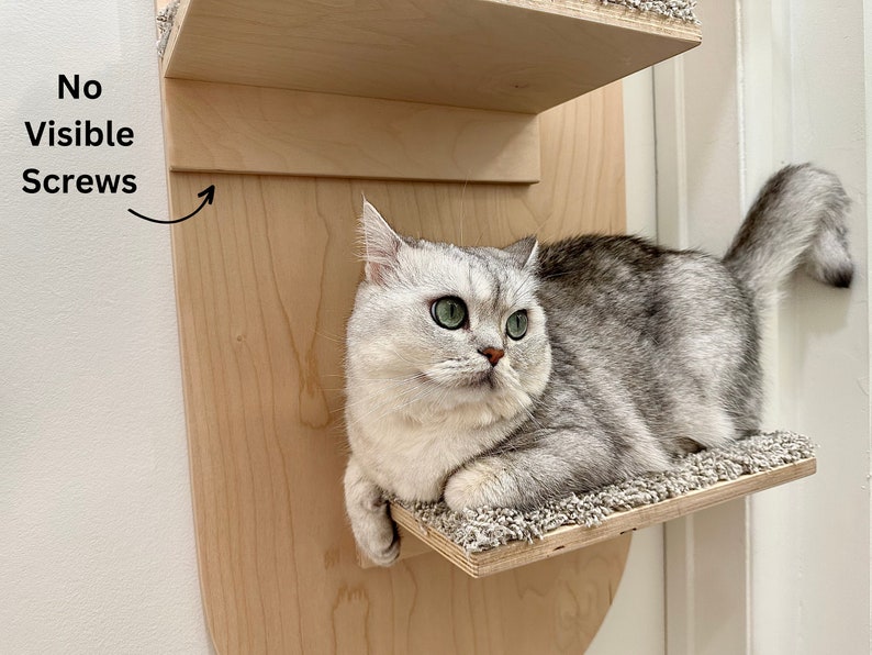 Door Cat Tree Cat Door Hanging Shelf Cat Climbing Tree Cat Bed Cat ...
