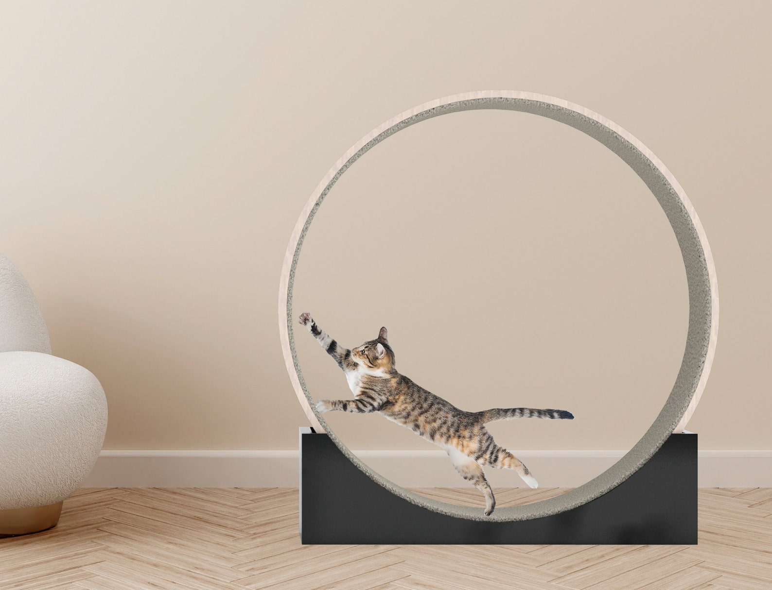 Cat Wheel Exercise Cat Toy Cat Exercise Wheel Cat Running Wheel Cute ...