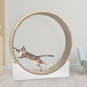 Cat Wheel Cat Toy Exercise Wheel Cute Cat Furniture Circular Treadmill ...