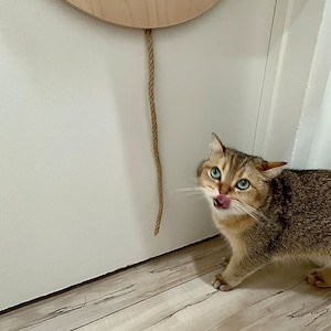 Door Cat Tree Cat Door Hanging Shelf Cat Climbing Tree Cat Bed Cat ...