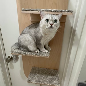 Door Cat Tree Cat Door Hanging Shelf Cat Climbing Tree Cat Bed Cat ...