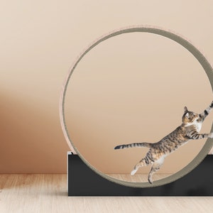 Cat Wheel Exercise Cat Toy Cat Exercise Wheel Cat Running Wheel Cute ...