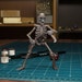 6PC Unarmored Skeleton Pack, Dnd Miniature Army for Table Top Games ...