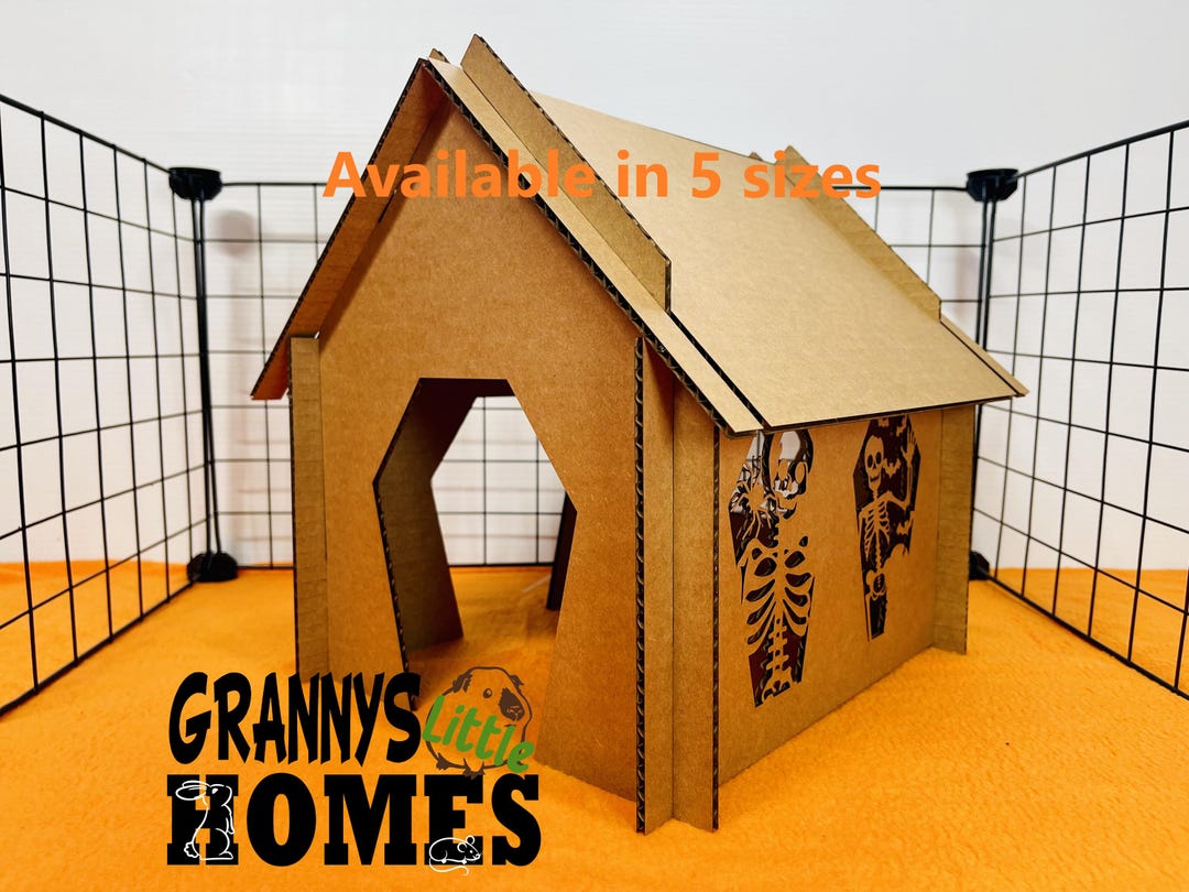 Cardboard Skeletons and Coffin Hidey - Etsy