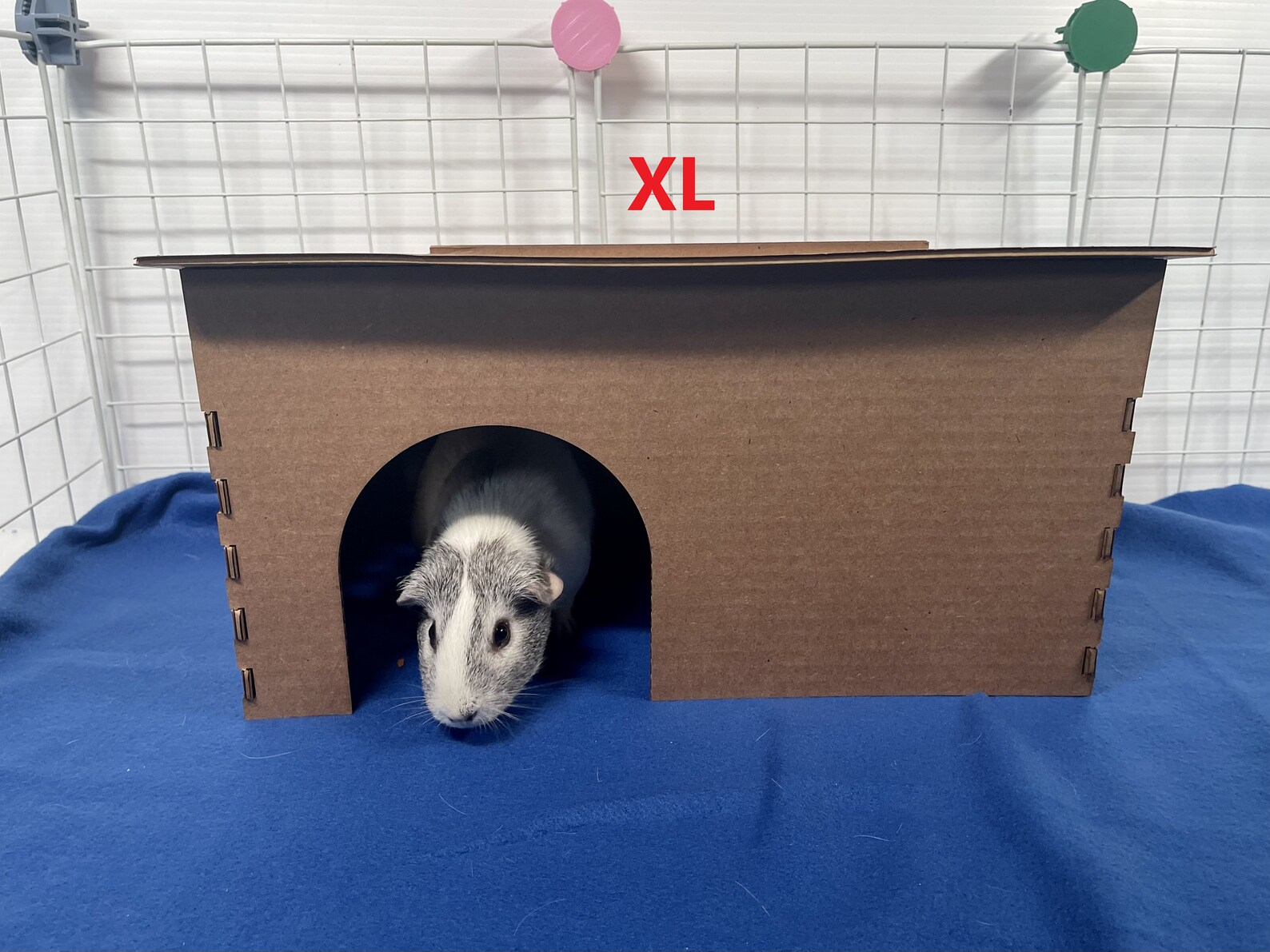 Cardboard Hide With 2 Doors and a Window - Etsy
