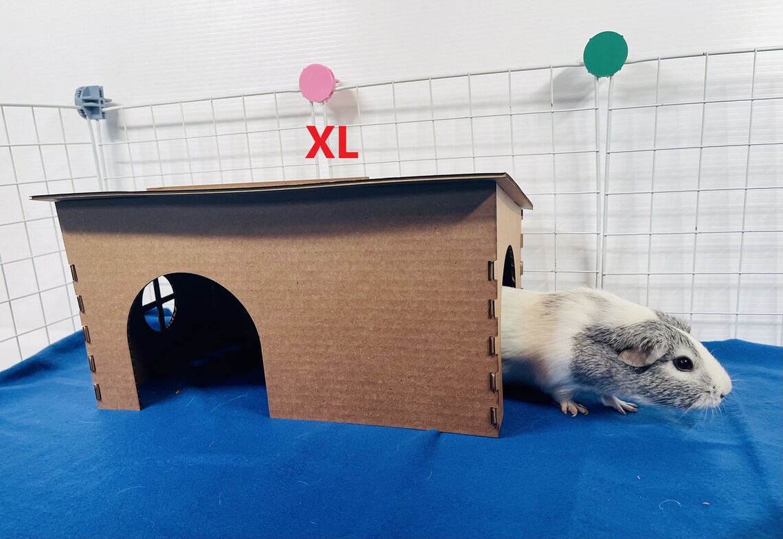 Cardboard Hide With 2 Doors and a Window - Etsy