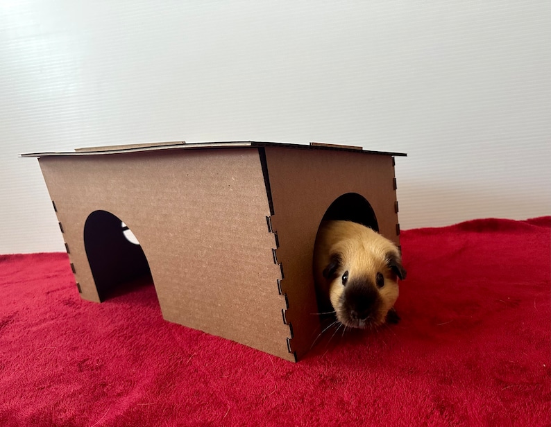 Cardboard Hide With 2 Doors and a Window - Etsy