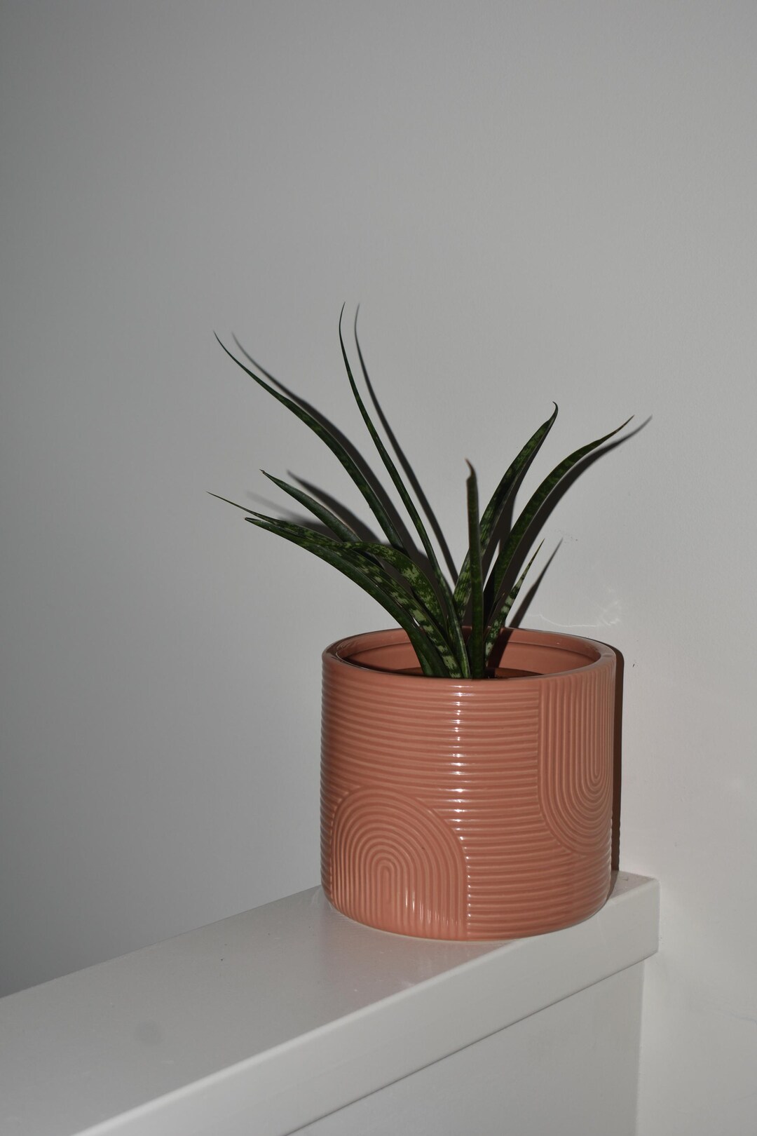 Cool Plant Pot Jardiniere Geometric Design for Tropical Indoor Plants ...