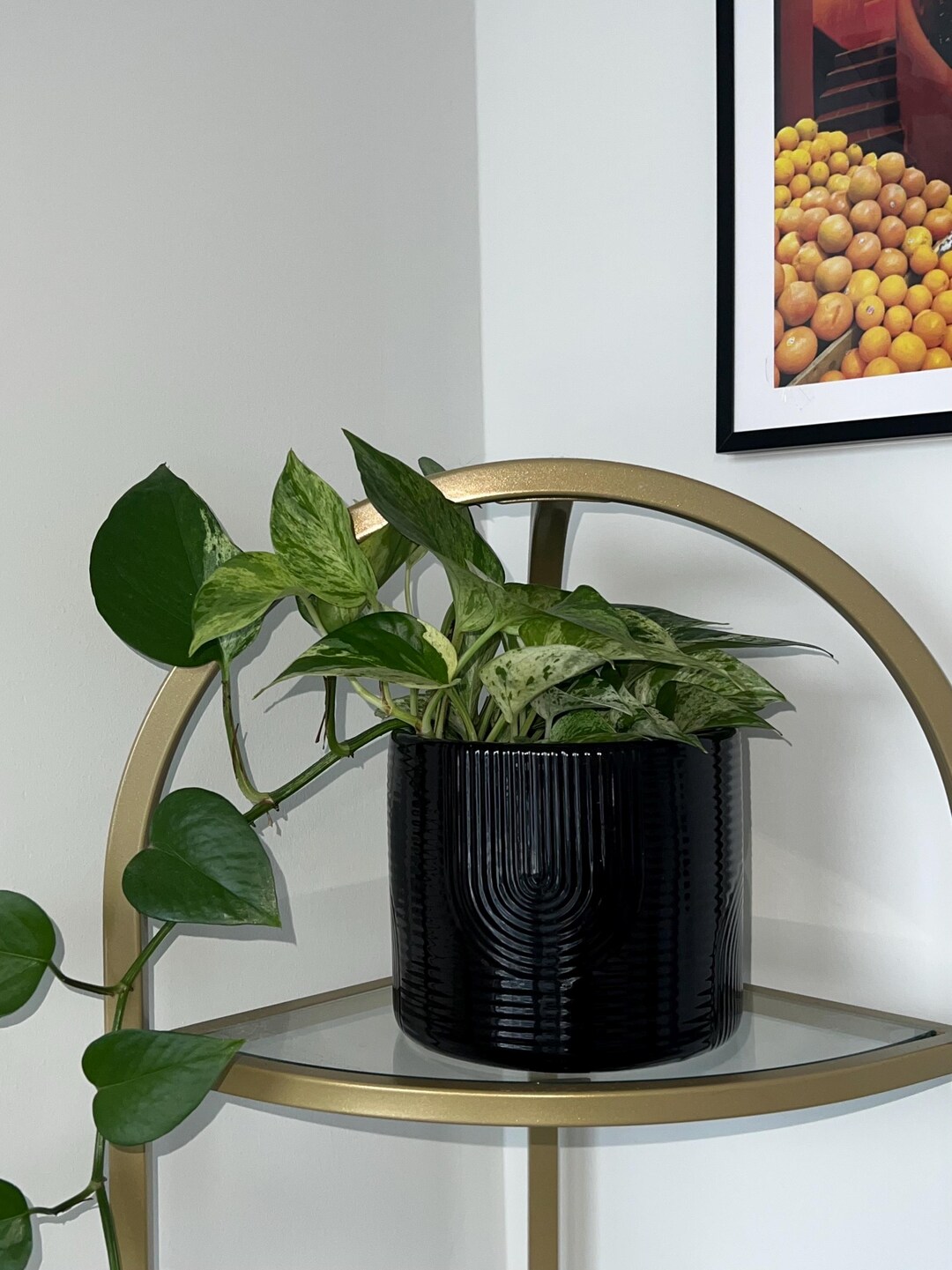 Ceramic Plant Pot Jardiniere Planter Geometric Design for Tropical ...