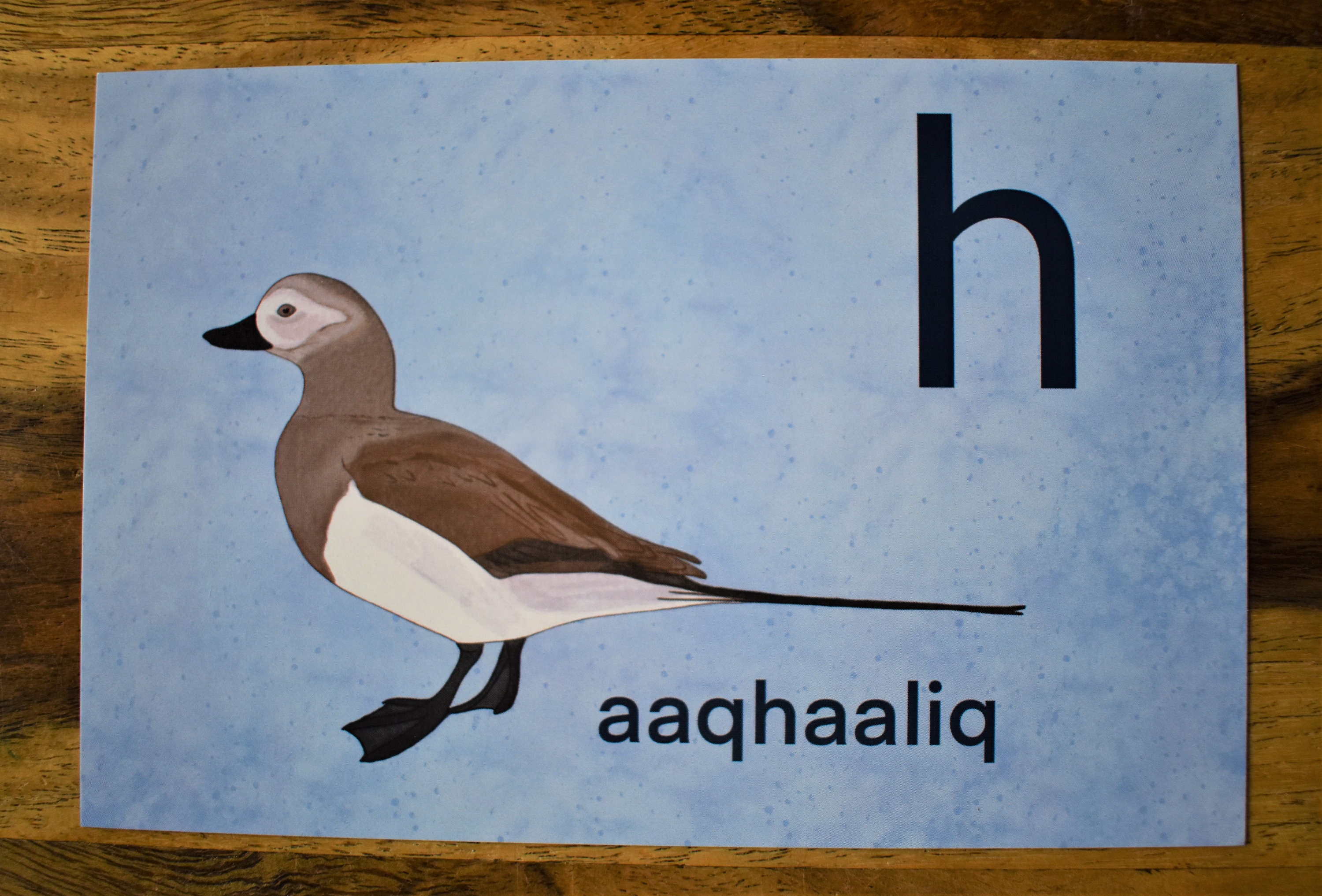Inupiaq Atchagat Cards - Etsy