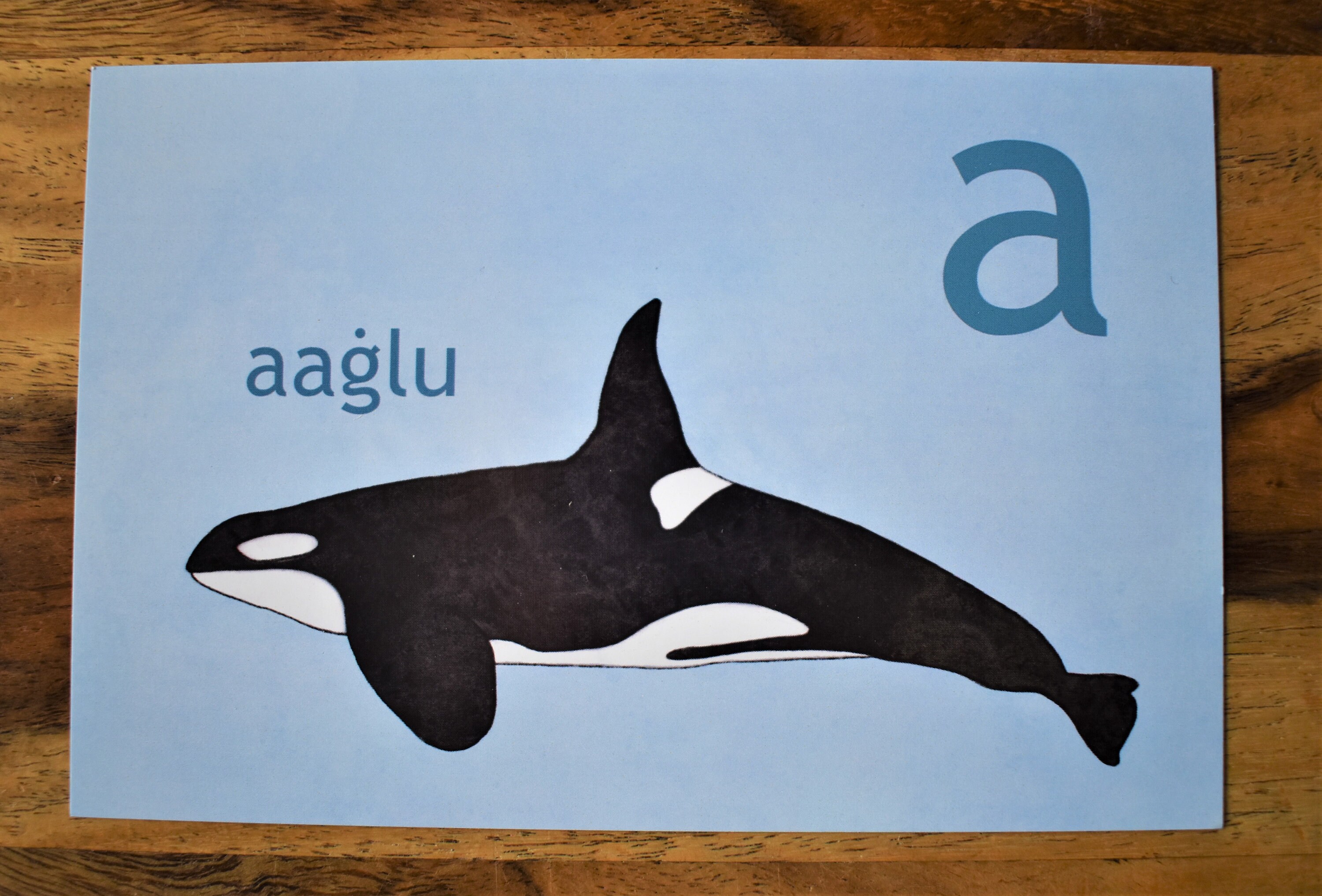 Inupiaq Atchagat Cards - Etsy