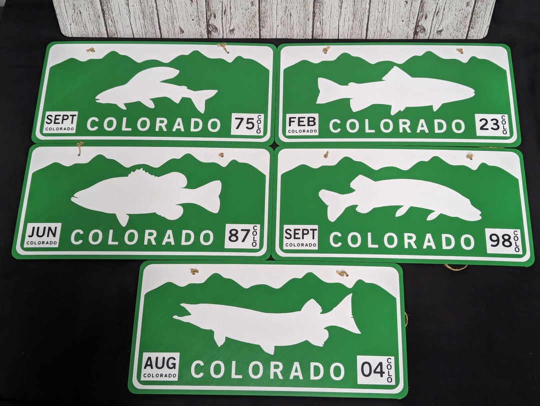 Custom Replica Colorado License Plate - Fish Collection - Etsy