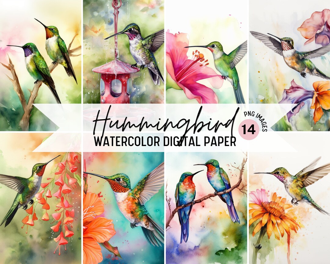 Hummingbird Scenes Watercolor Hummingbirds Watercolor - Etsy