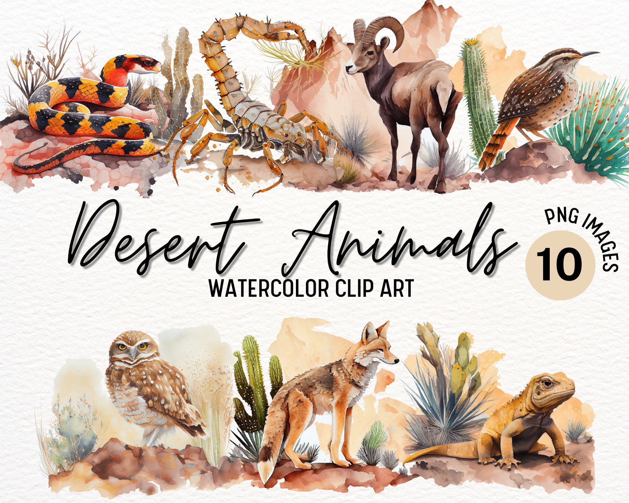 Desert Birds Clip Art