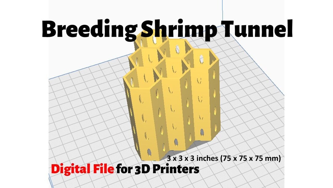 3D Printer Breeding Shrimp Tunnel STL Files: Aquarium Terrarium ...
