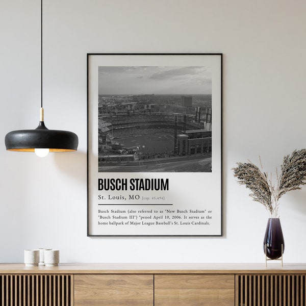 St Louis Art Busch Stadium - Etsy
