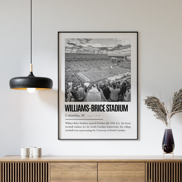 Williams Brice Stadium Art - Etsy