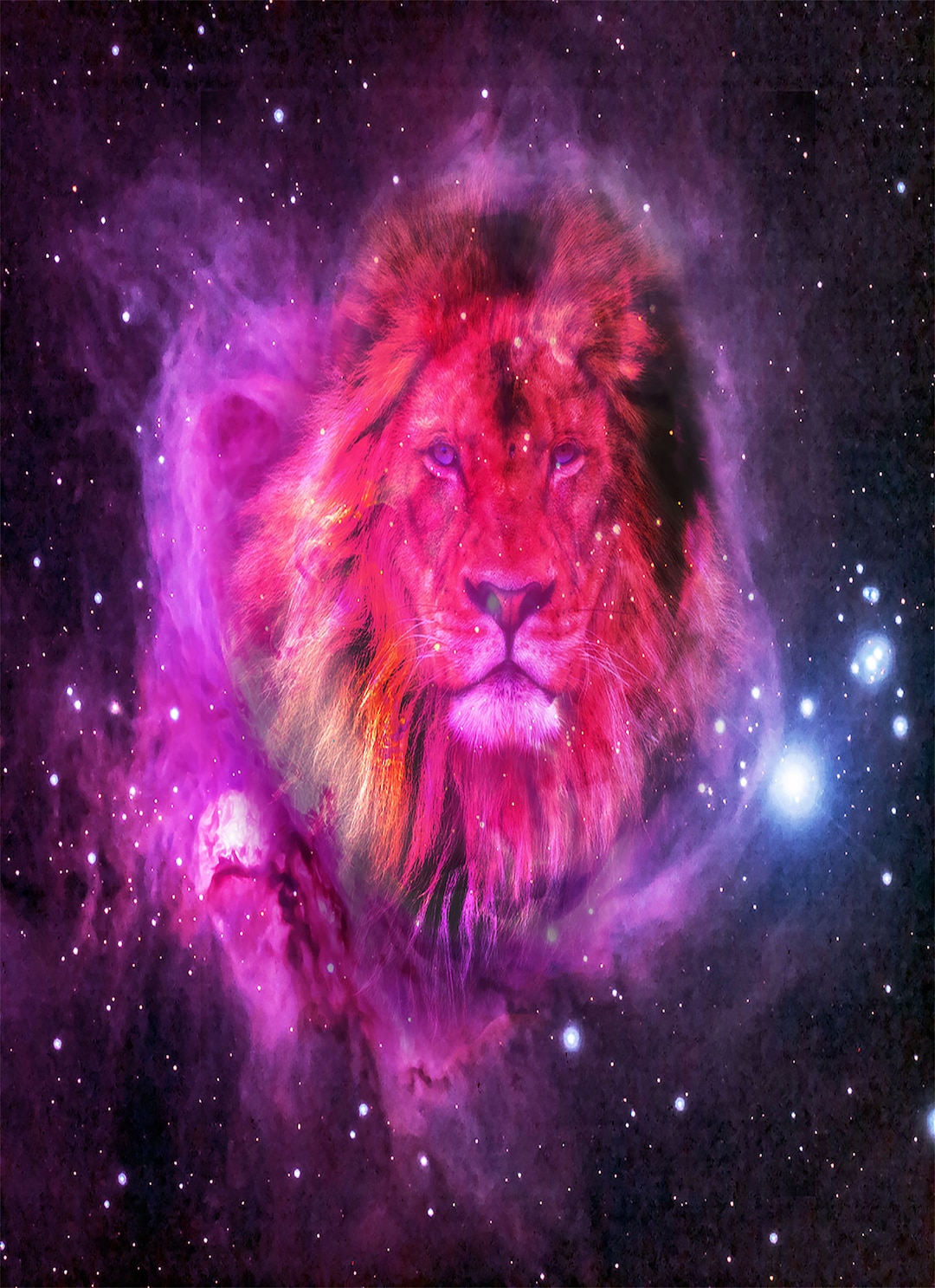 Space Lion, 8x11 Art, Lion Art, Digital Art, Space Art, Galaxy Lion ...