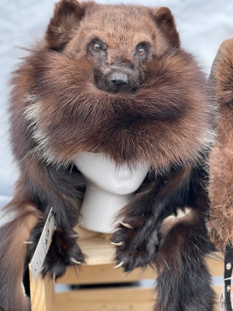 Alaska Mountain Men Hat- Fur- Fur Hat-trapper Hat- Mountain Men Hat ...