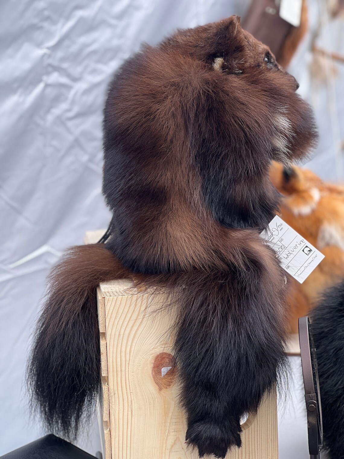 Alaska Mountain Men Hat- Fur- Fur Hat-trapper Hat- Mountain Men Hat ...