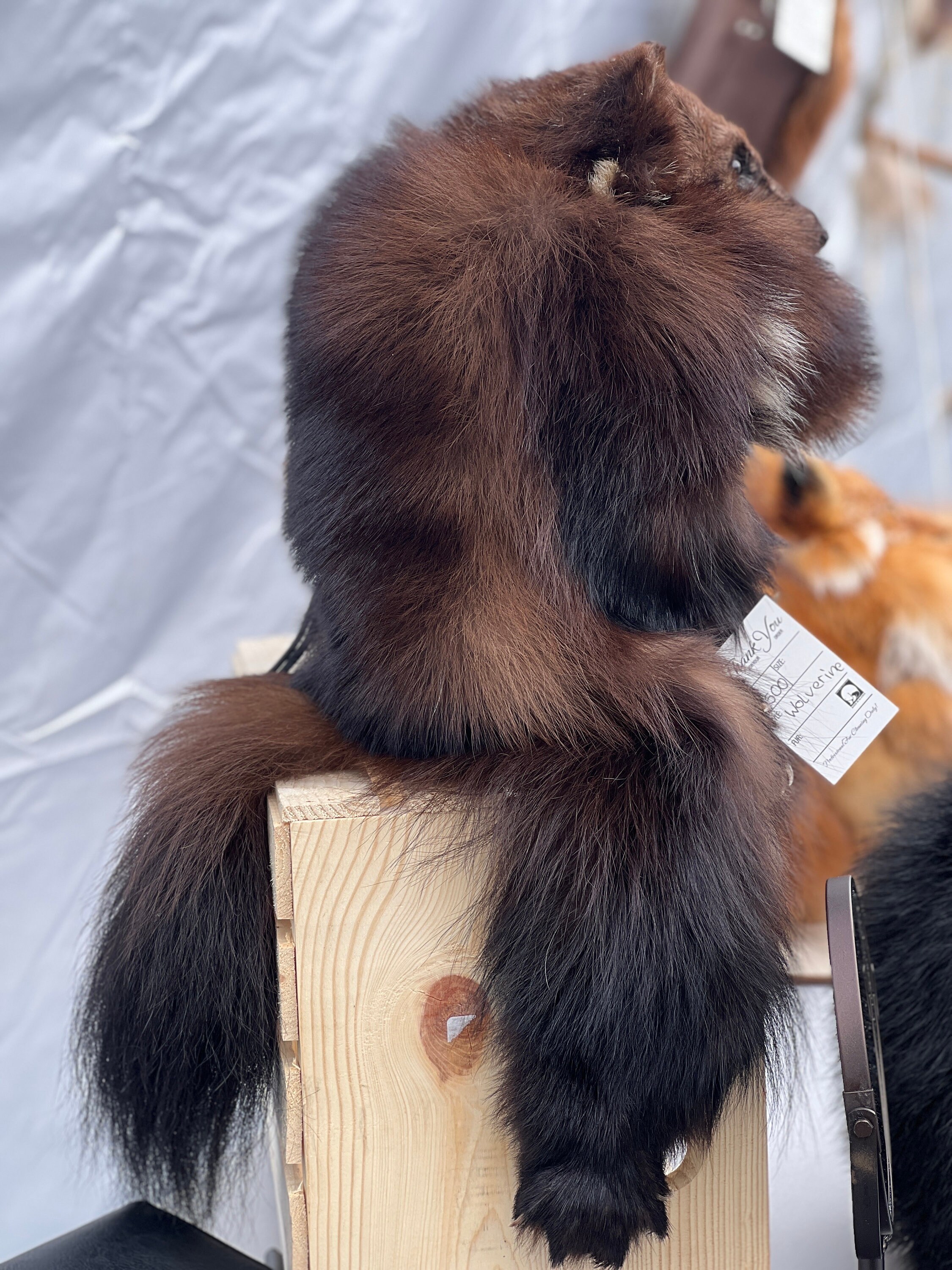 Alaska Mountain Men Hat- Fur- Fur Hat-trapper Hat- Mountain Men Hat ...