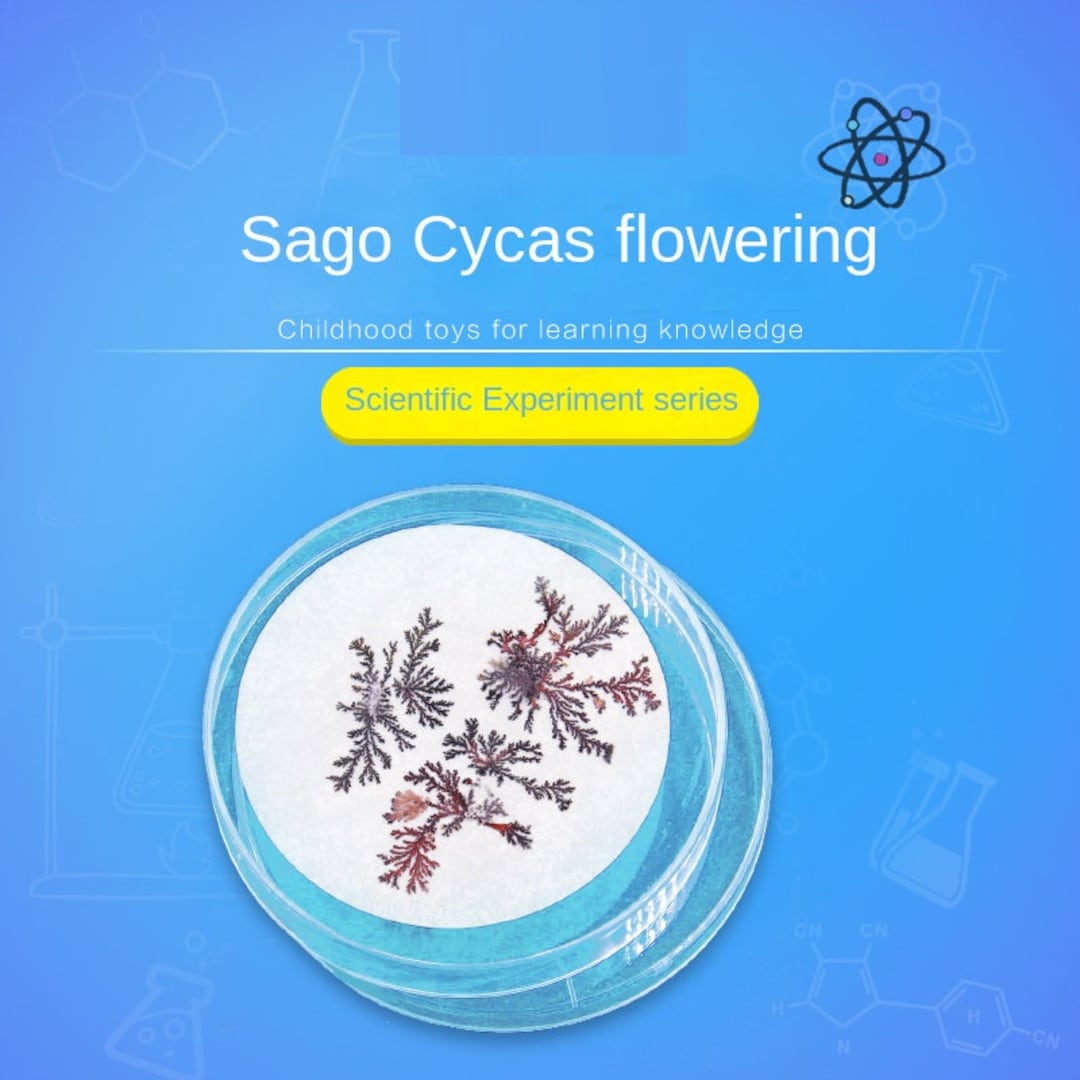 Crystallization Experiment Student Science and Technology Small ...