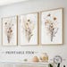 Neutral Floral Gallery Wall Set of 3 Printable Art. Minimalist ...