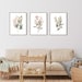 Neutral Botanical Wall Art Set of 3 Prints. Farmhouse Wild Flowers ...