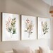 Neutral Botanical Wall Art Set of 3 Prints. Farmhouse Wild Flowers ...