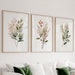 Neutral Botanical Wall Art Set of 3 Prints. Farmhouse Wild Flowers ...