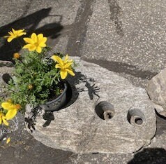Natural Rock Planter With Drainage Holes - Etsy