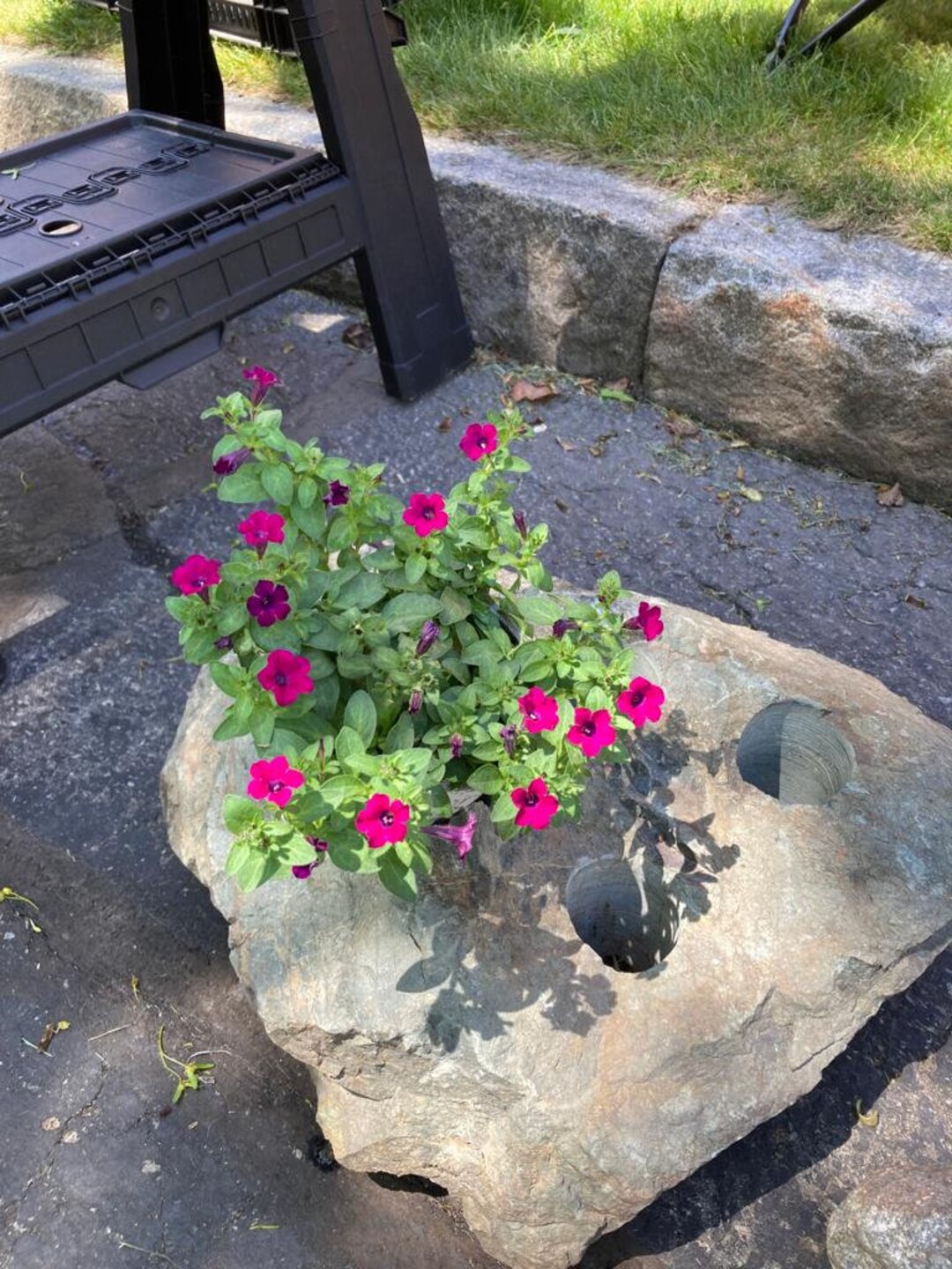 Natural Rock Planter - Etsy