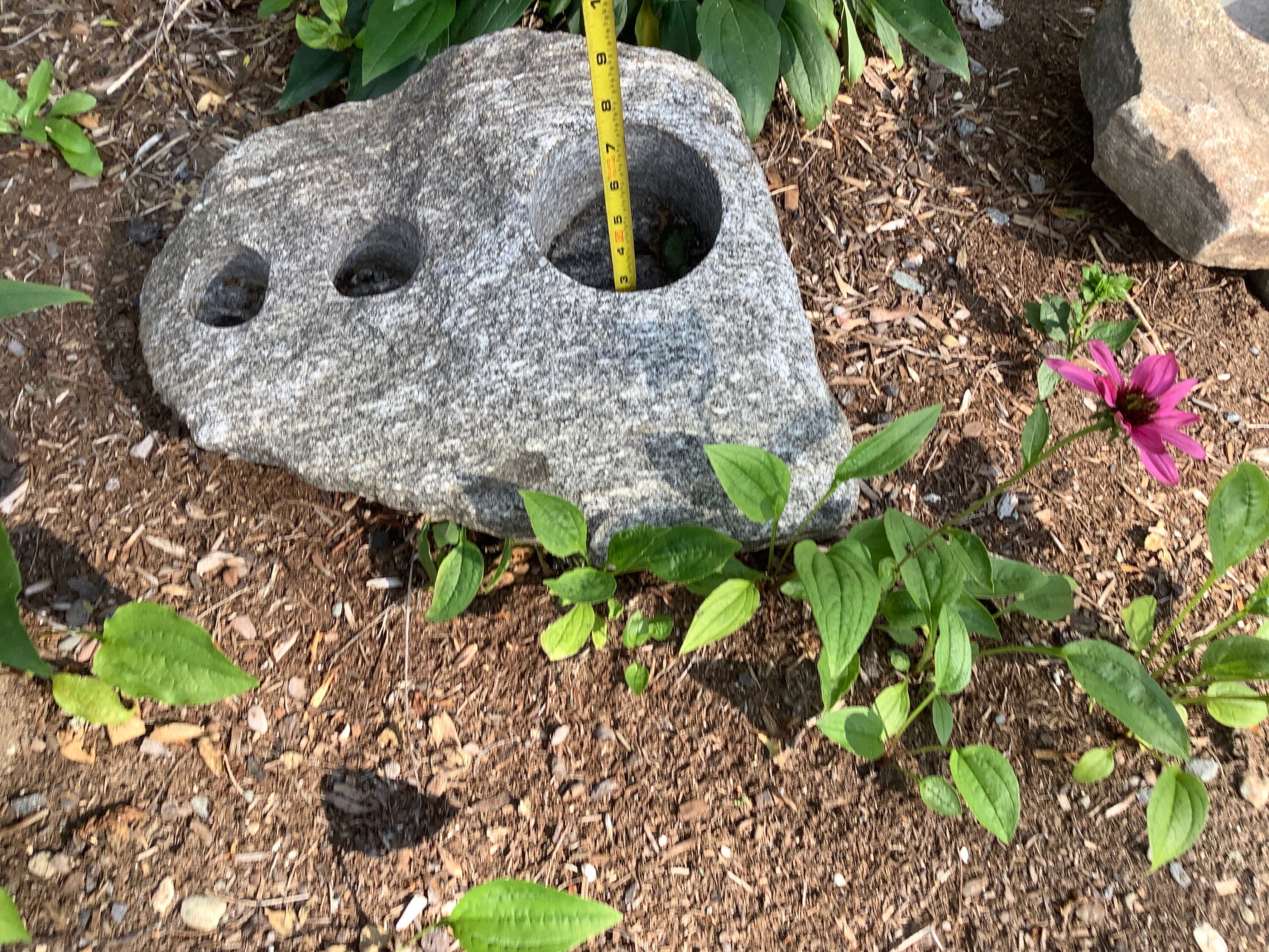 Natural Rock Planter With Drainage Holes - Etsy