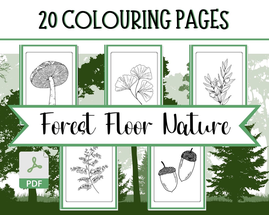 Forest Colouring Pages, Nature Colouring for Adults, Teens, Mushrooms ...