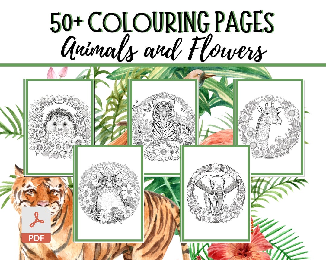 Animals and Flowers Colouring Pages I Nature Colouring Book I Adult ...