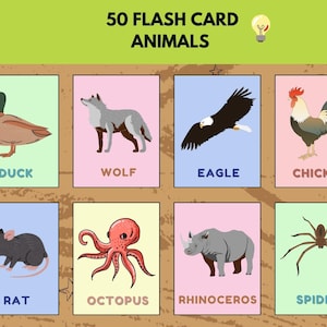 50 Animals Flashcard, Printable Montessori Flash Cards, Pre-school ...