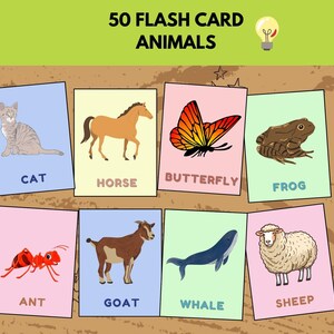 50 Animals Flashcard, Printable Montessori Flash Cards, Pre-school ...