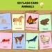 50 Animals Flashcard, Printable Montessori Flash Cards, Pre-school ...