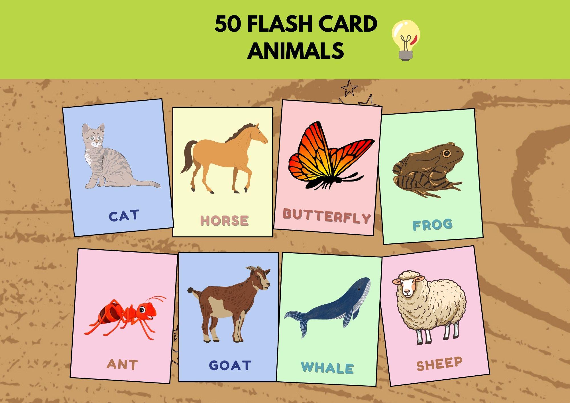 50 Animals Flashcard, Printable Montessori Flash Cards, Pre-school ...