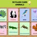 50 Animals Flashcard, Printable Montessori Flash Cards, Pre-school ...