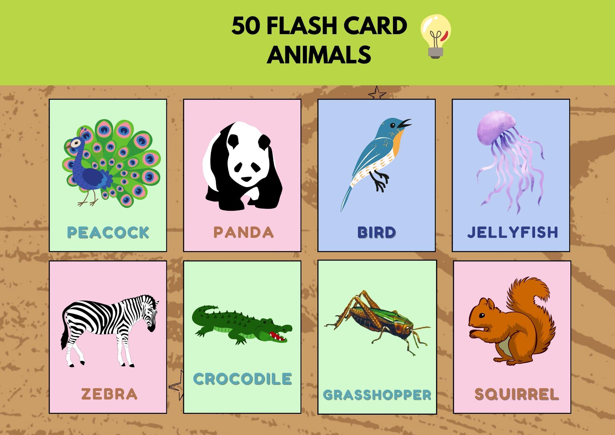50 Animals Flashcard, Printable Montessori Flash Cards, Pre-school ...