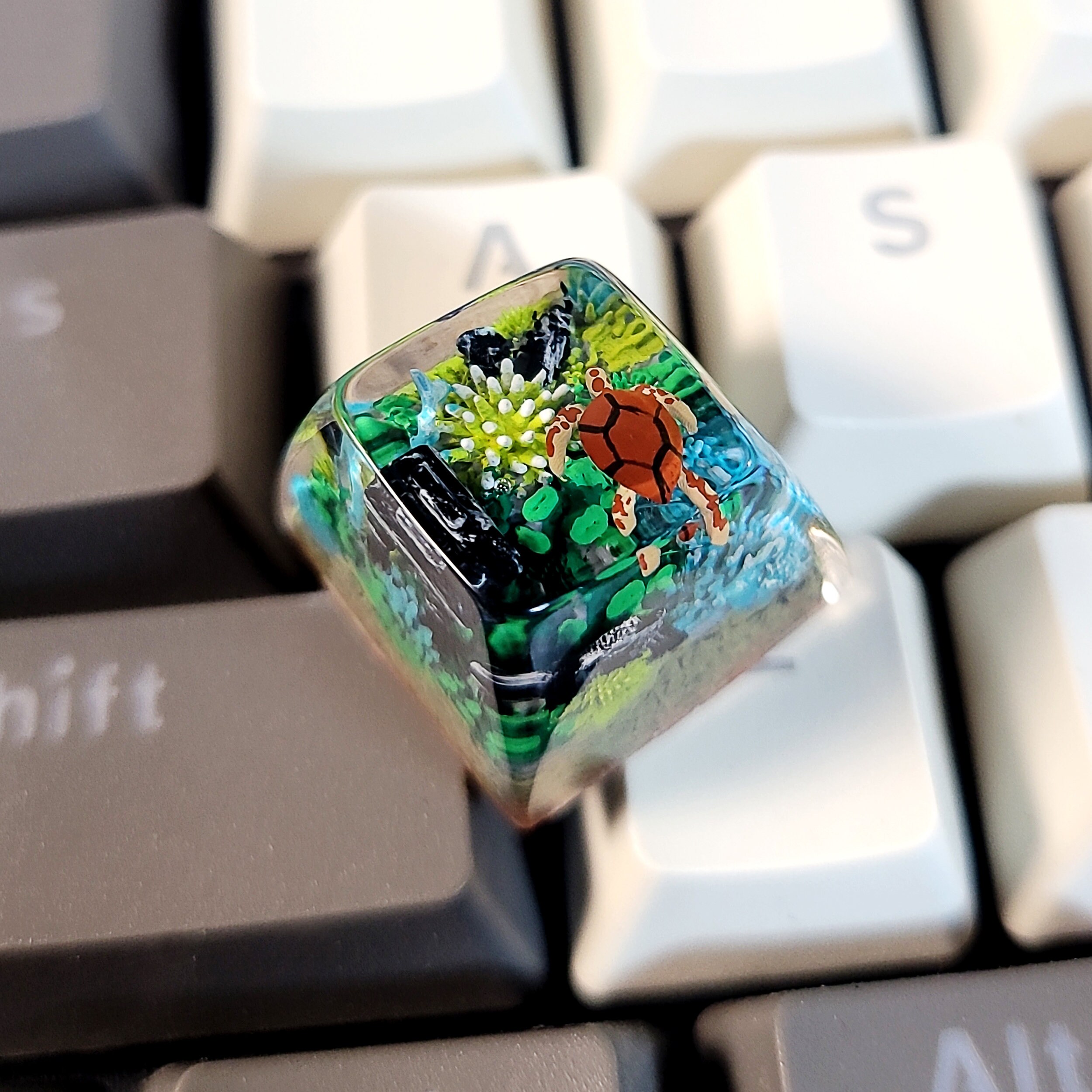 Turtle Keycap Coral Keycaps Transparent Keycap Esc Anime - Etsy
