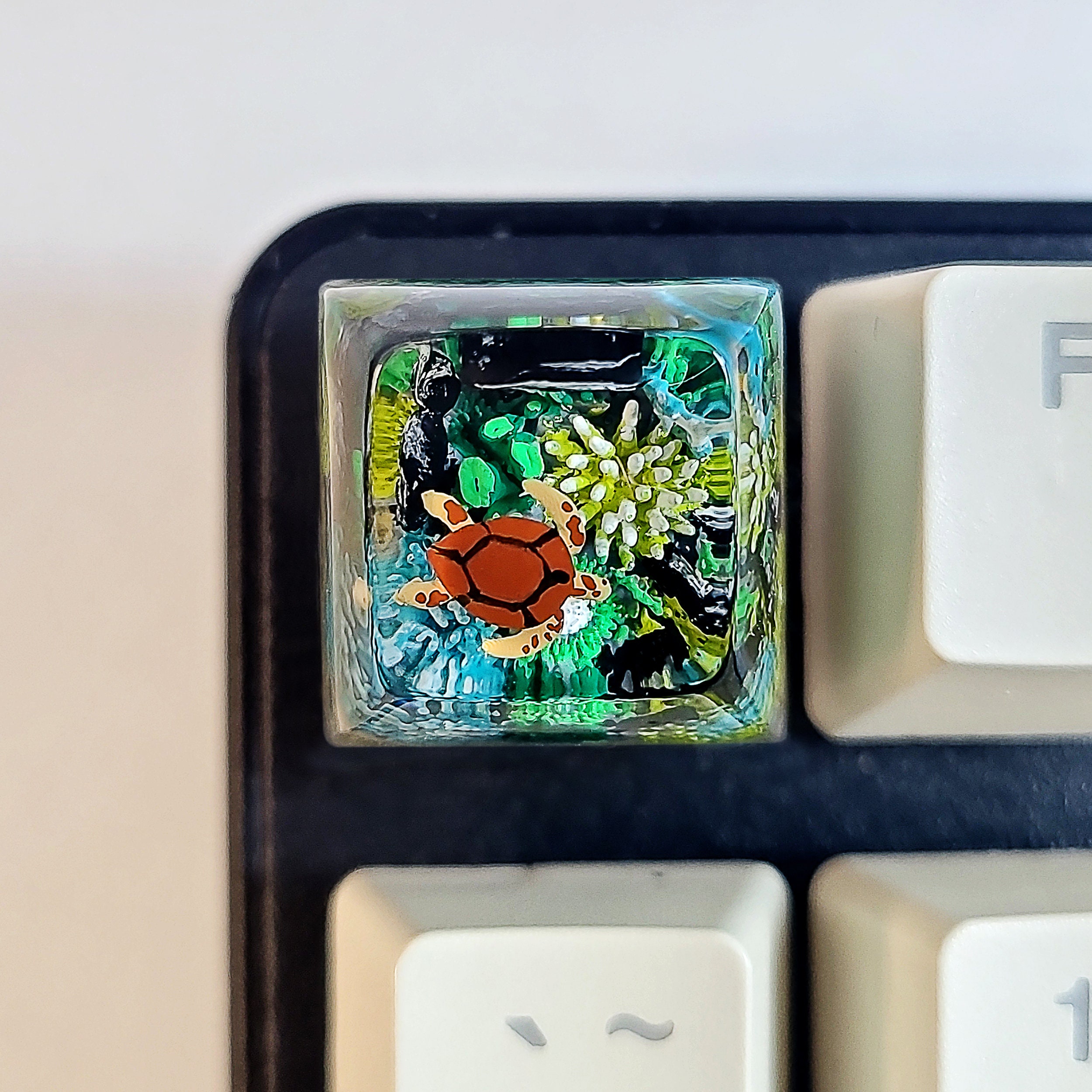 Turtle Keycap Coral Keycaps Transparent Keycap Esc Anime - Etsy