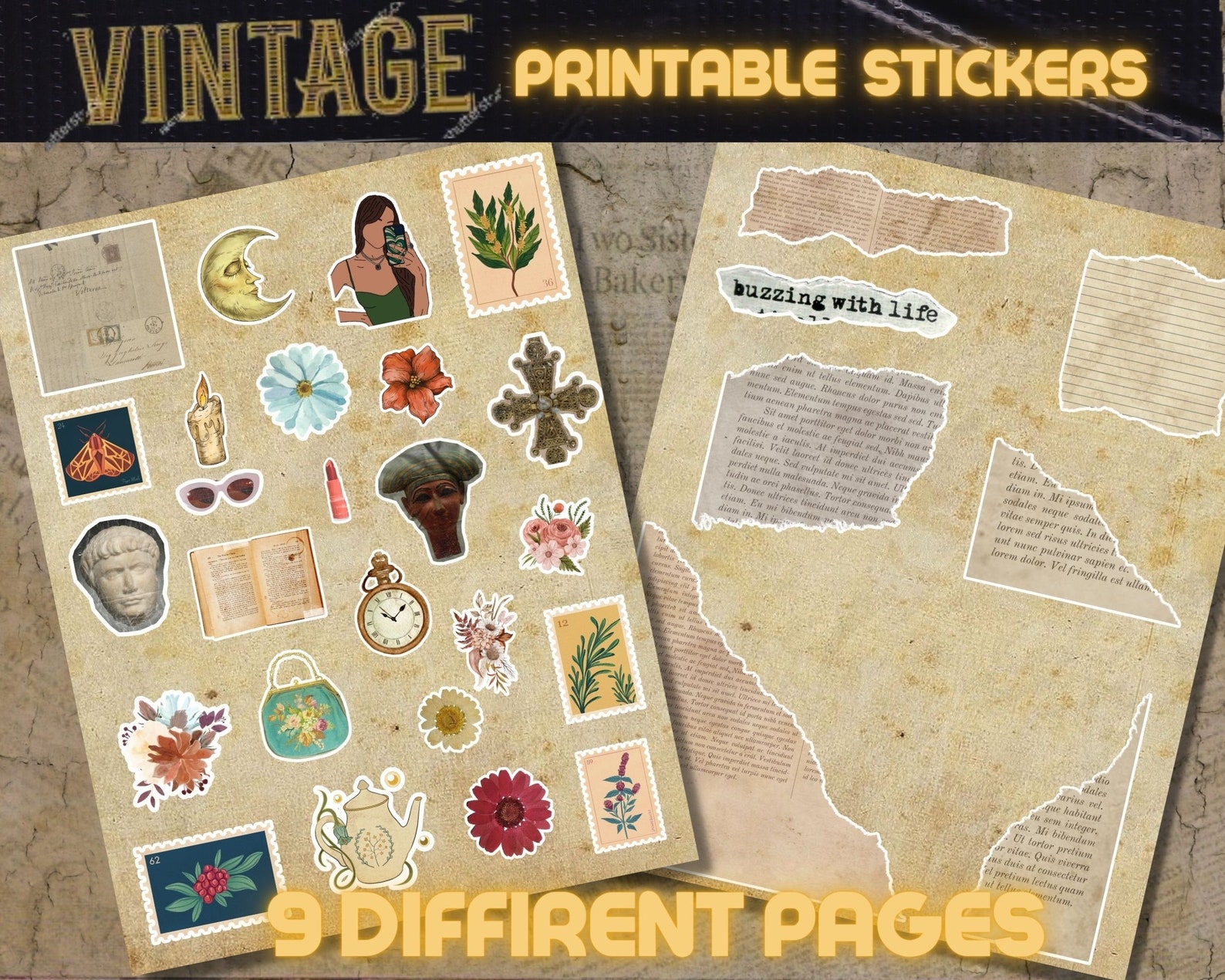 Vintage Printable Stickers 100+ 9pages - Etsy