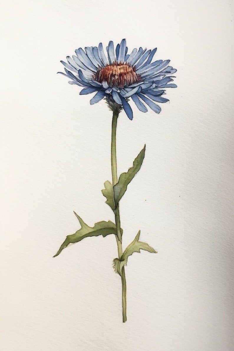 Minimal Purple Daisy - Original Watercolor Botanical Painting | Digital ...